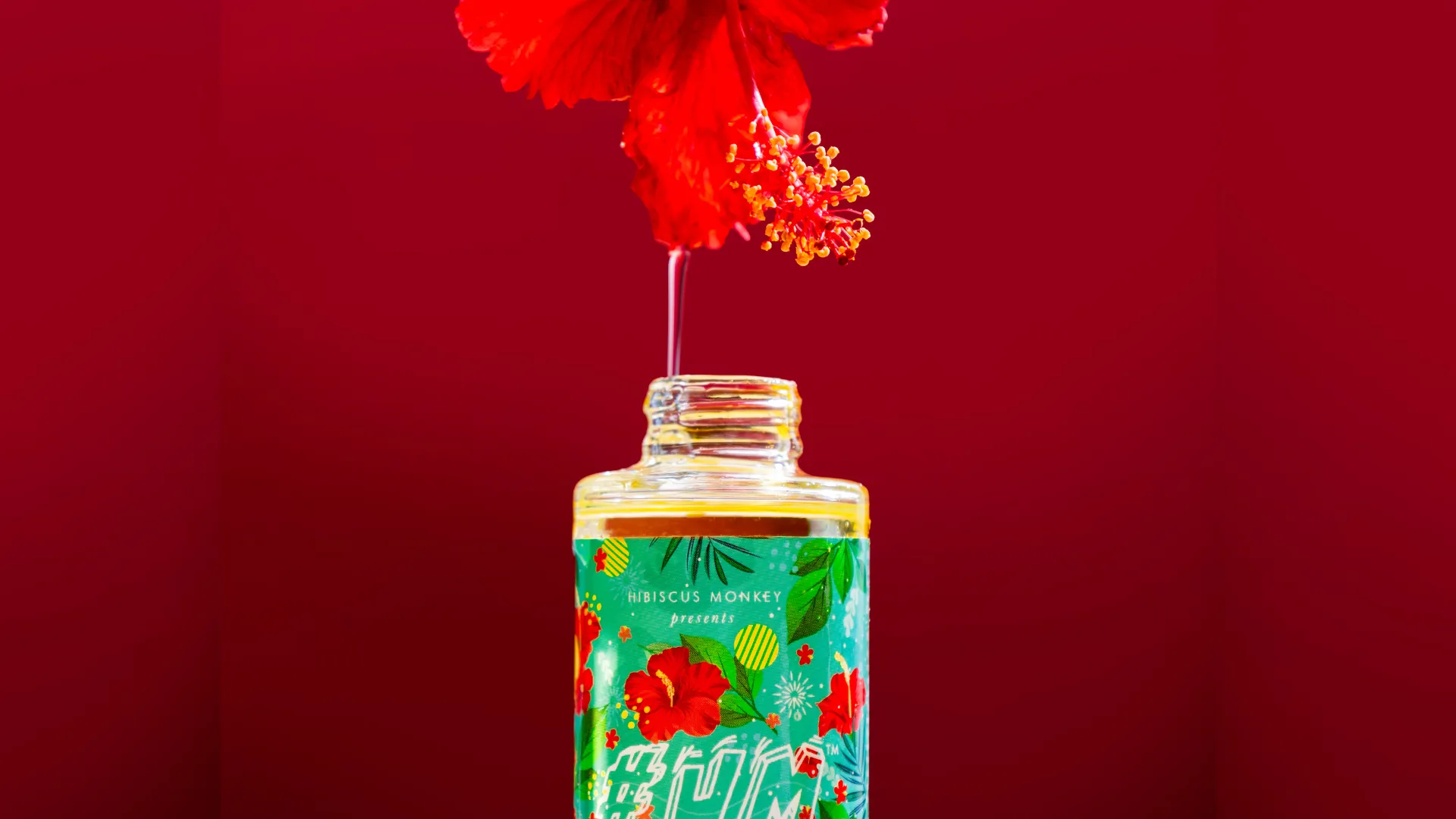 Hibiscus Monkey Walked So Others Could Run: India's Body Care ...