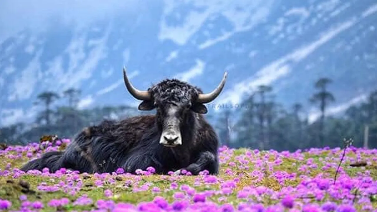 6 Underrated Places to Visit in Spring this Time!