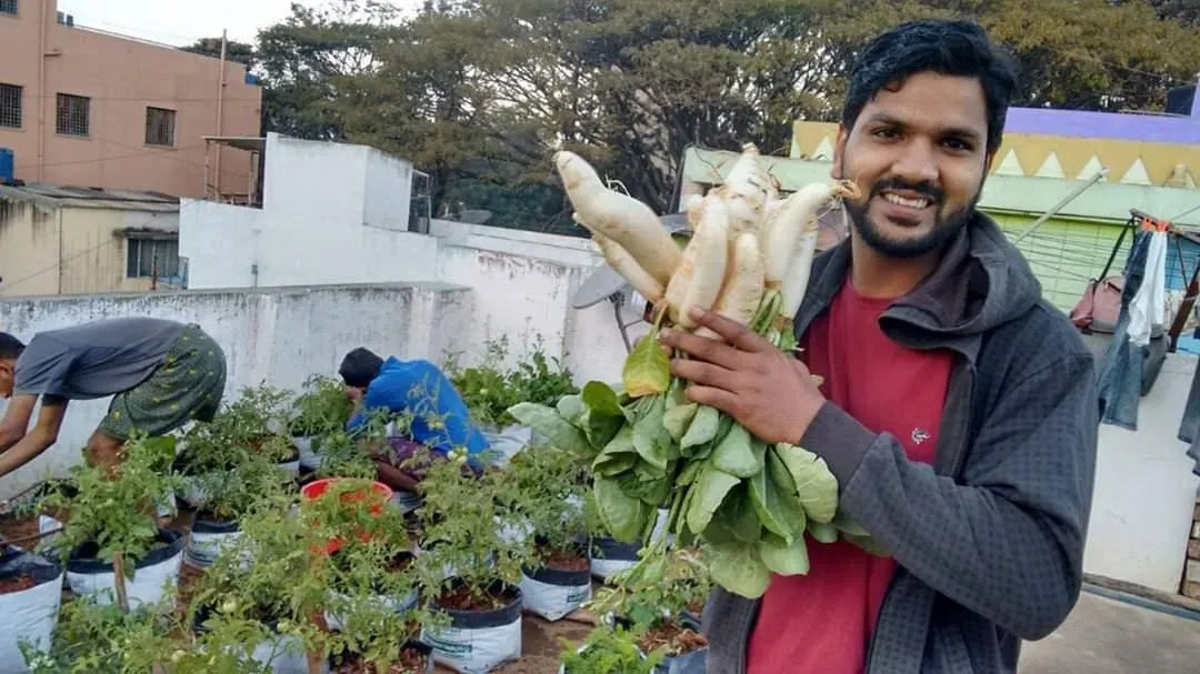 From growing organic vegetables on his PG terrace to building a ...