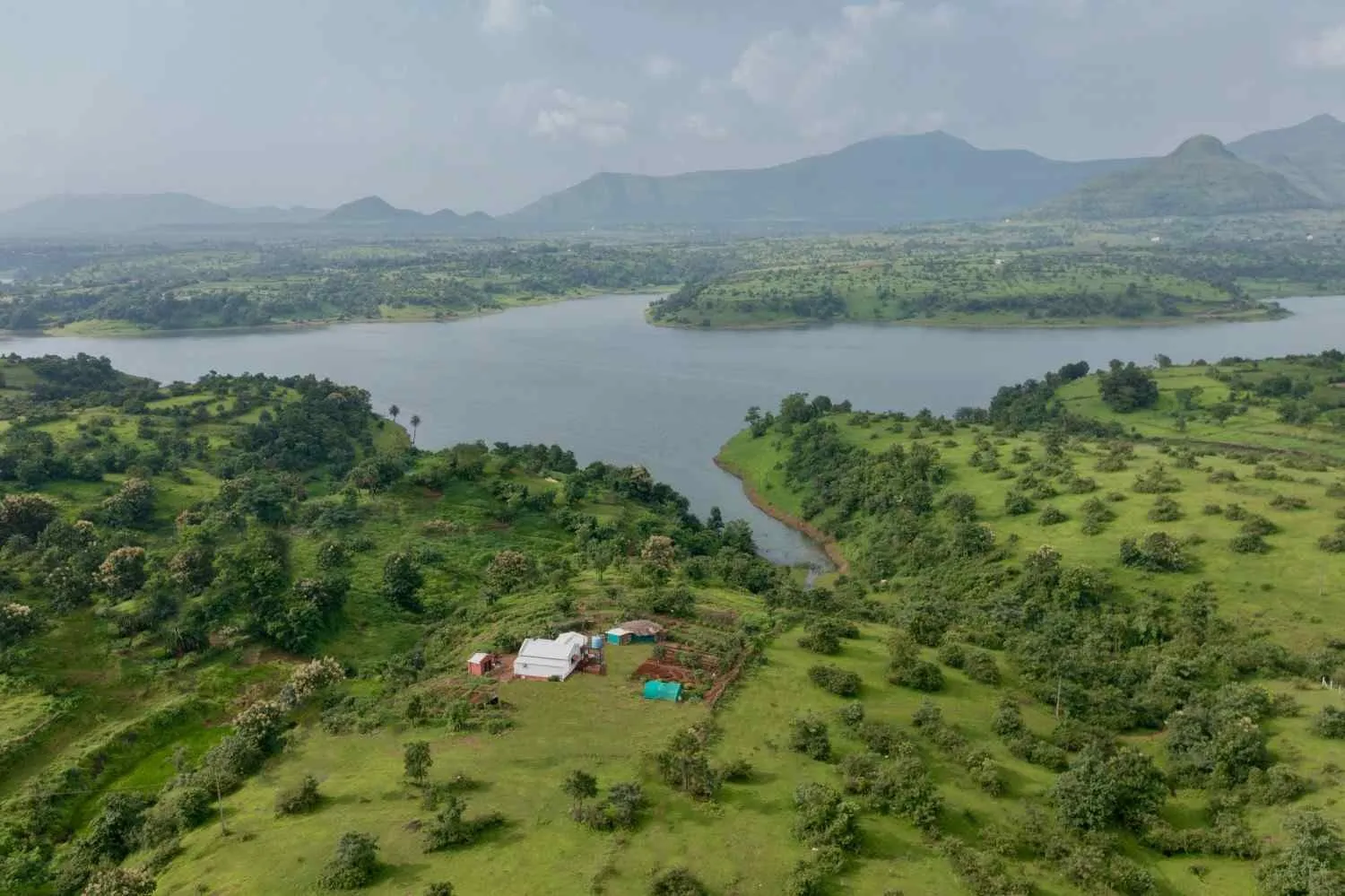 Once part of the Panchayat, Mimi & Trial by Fire making team, they quit ...