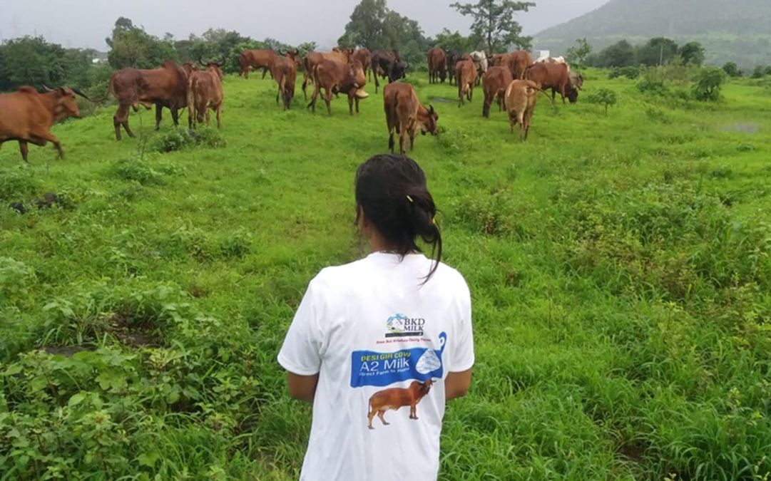 Engineer Dairy Farmer and Little Millets