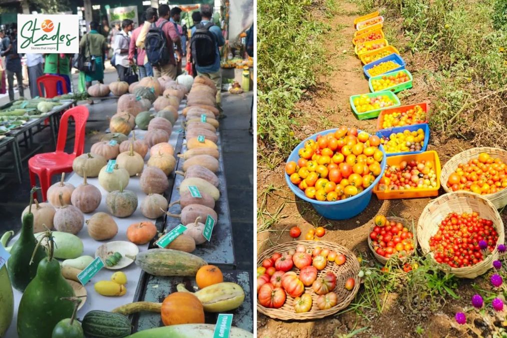 Ten seed festivals where you can buy native seeds