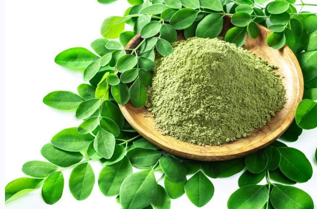 Moringa and Khes
