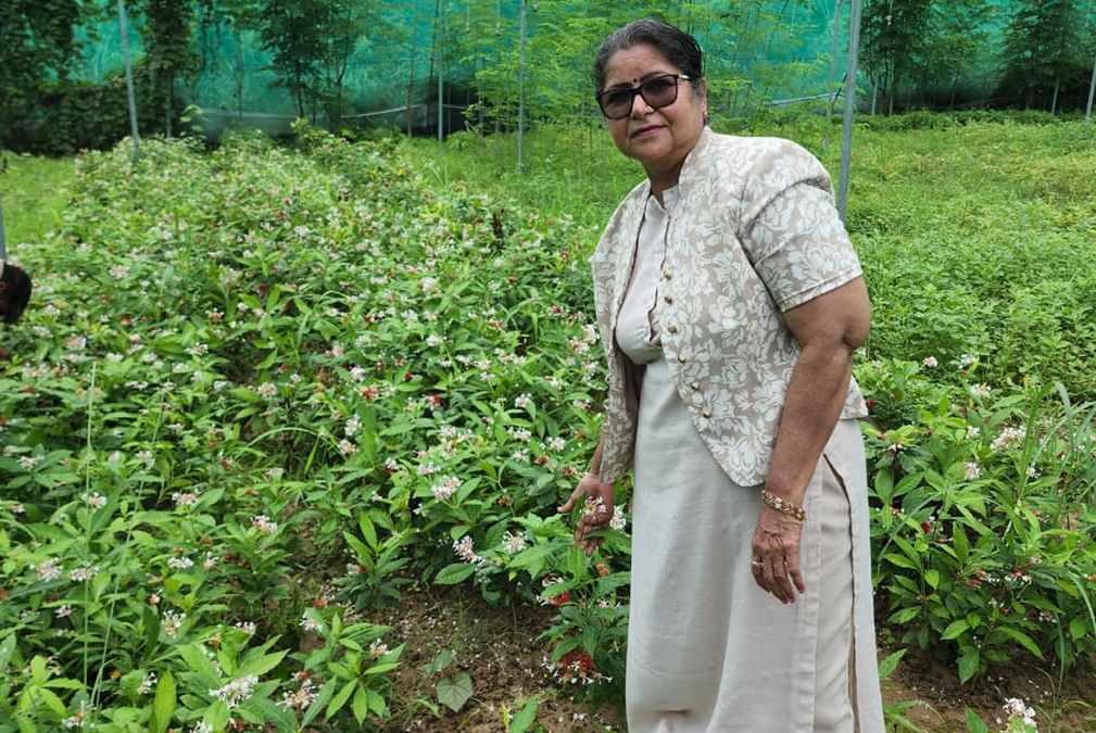 65-year-old woman turns barren land into organic farm of medicinal ...
