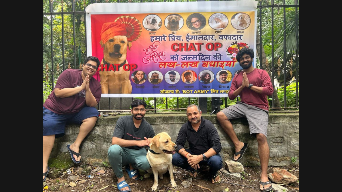 Tanmay Bhat's dog and driver star in Swiggy's new feature ad