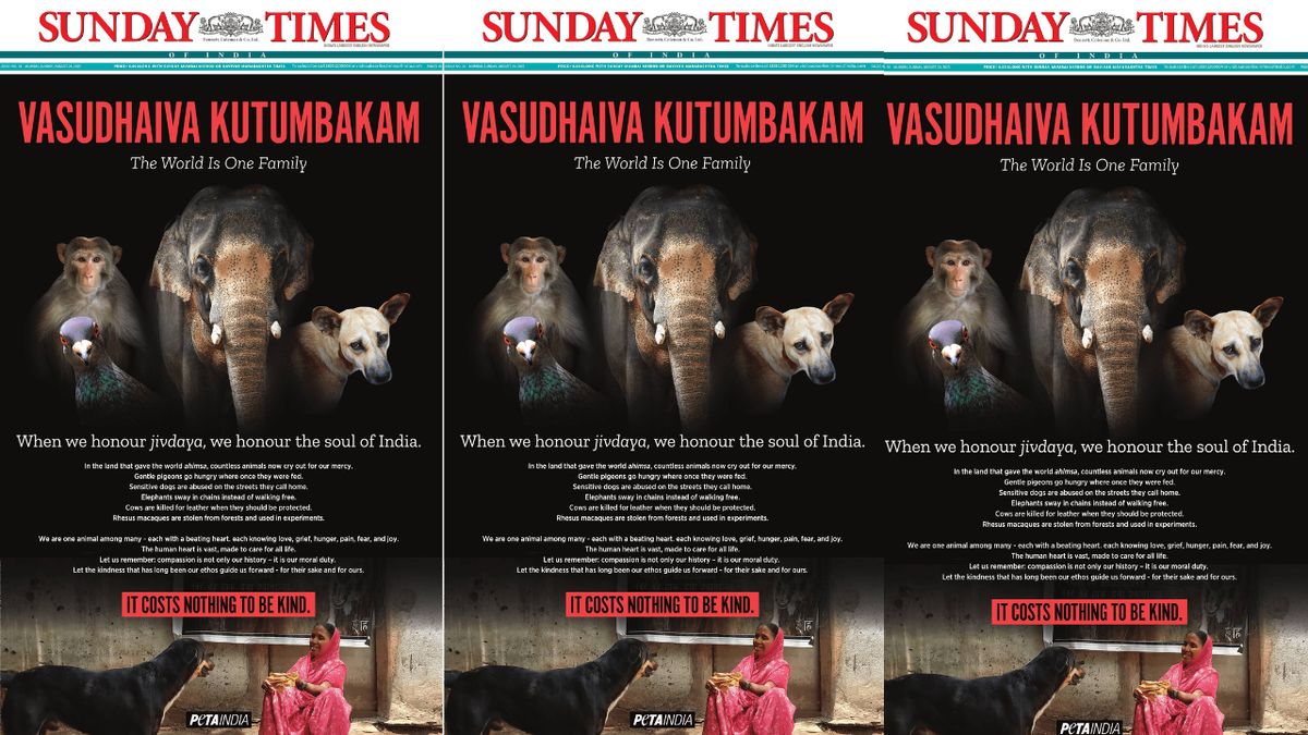 PETA’s TOI front-page call for compassion after SC’s stray dog order