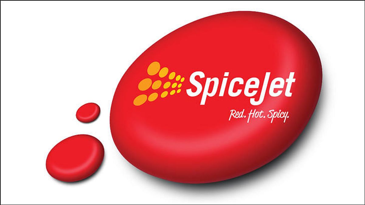 SpiceJet flies out of the red with a new look