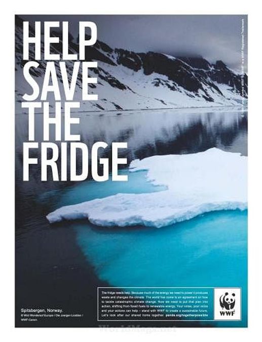 Help Save the Fridge