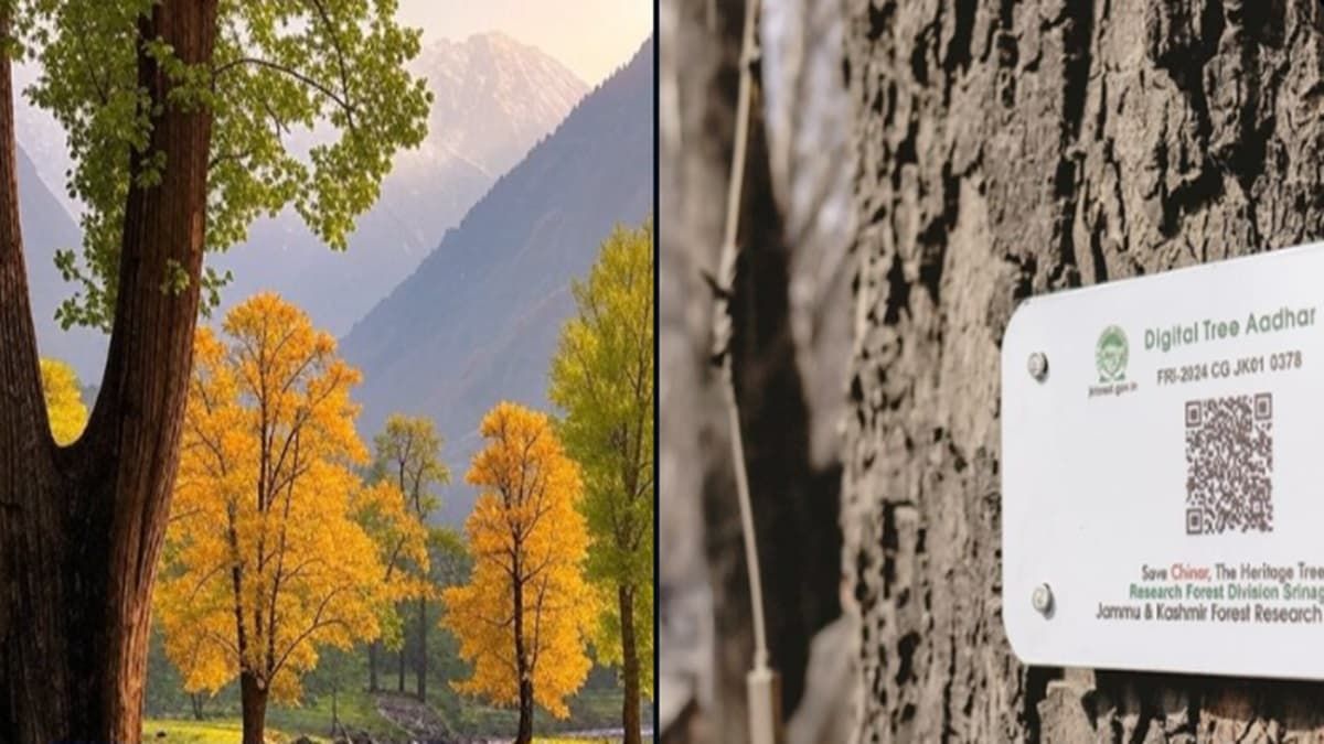 Jammu & Kashmir Launches "Digital Tree Aadhaar" for Conservation