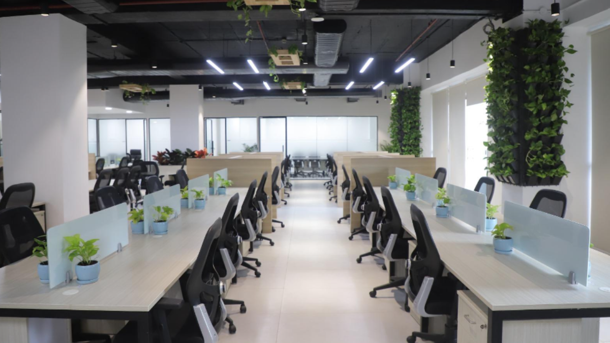 Tribes Communication unveils eco-friendly office