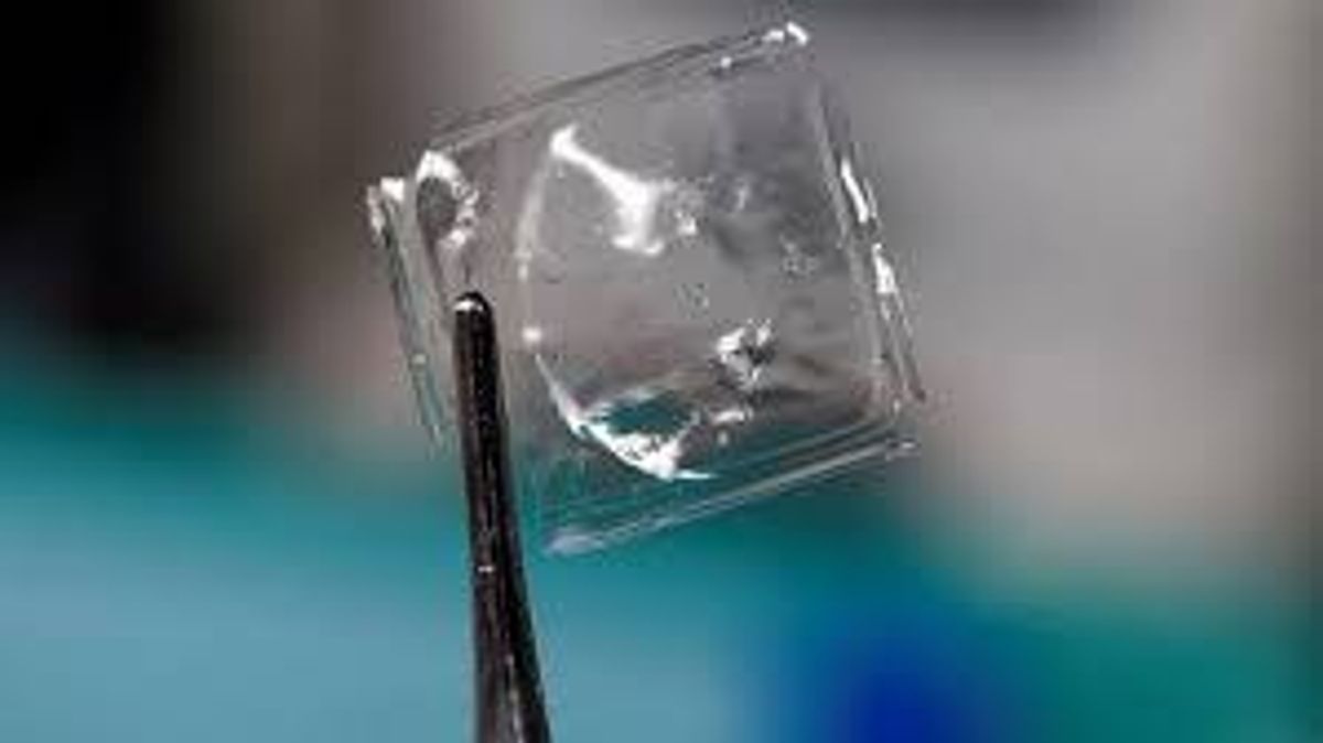 Scientists make new plastic that dissolves in water in a few hours