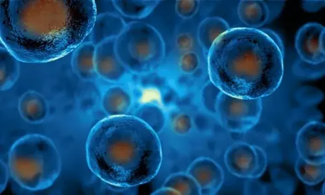 Scientists use stem cells to create models of pre-embryos