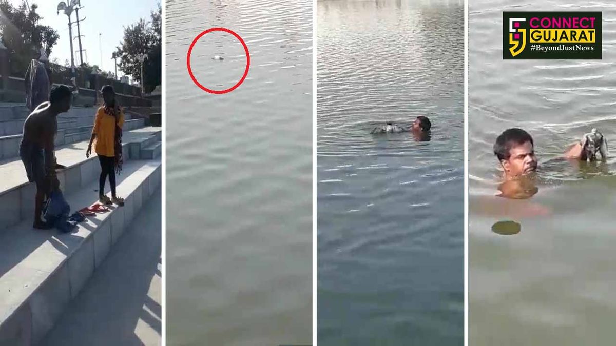 Pigeon tangled in deadly kite string saved by local in Vadodara