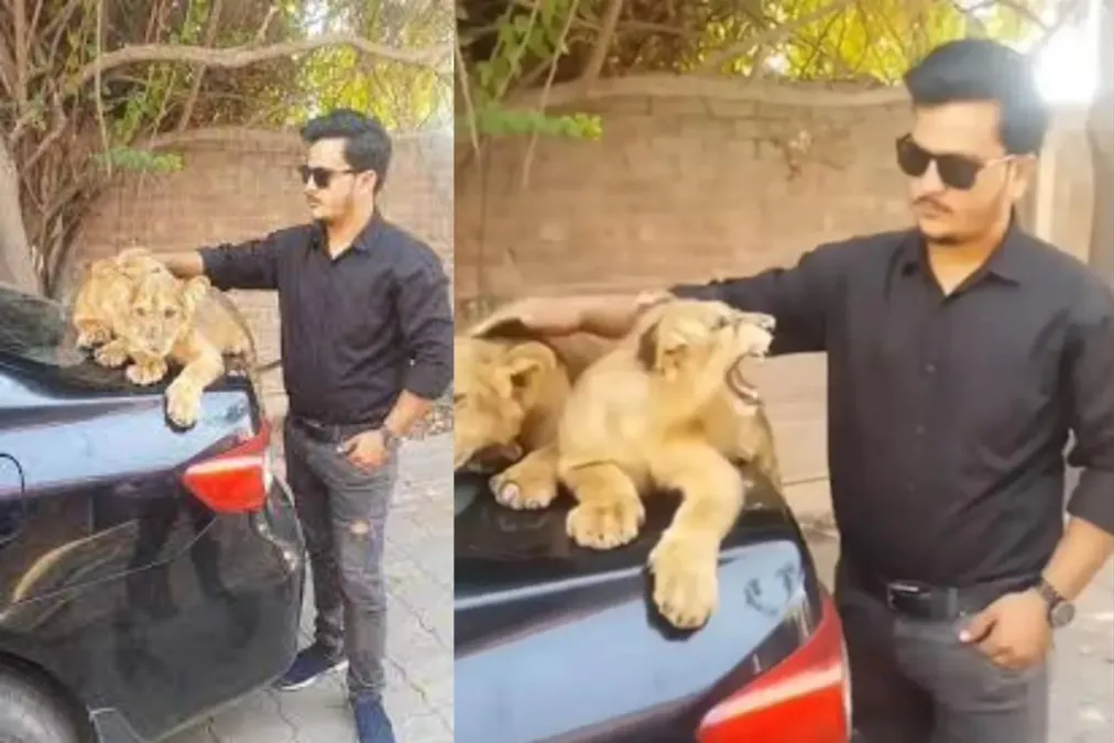 Viral Video: Looking cool can be dangerous at times! Man gets almost ...