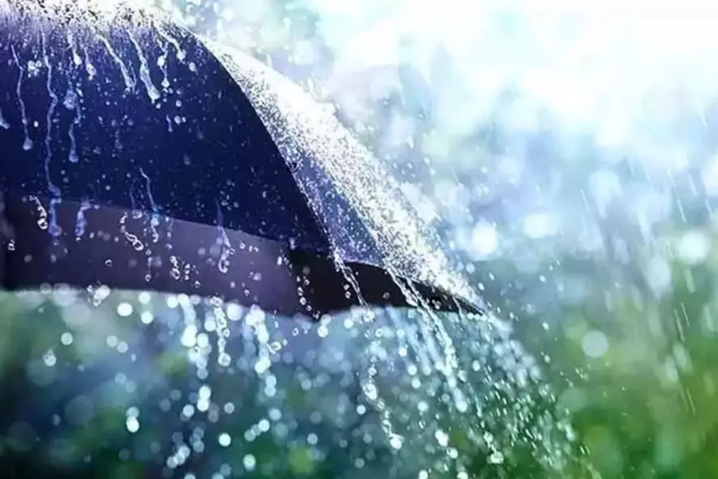 Monsoon Tracking Apps: Planning To Go Out During Rainy Season? Check ...