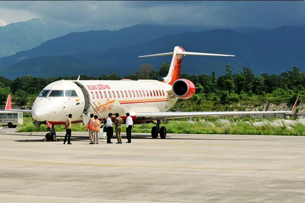 Dehradun News: Bird-Hit incidents on the Rise at Doon airport ...