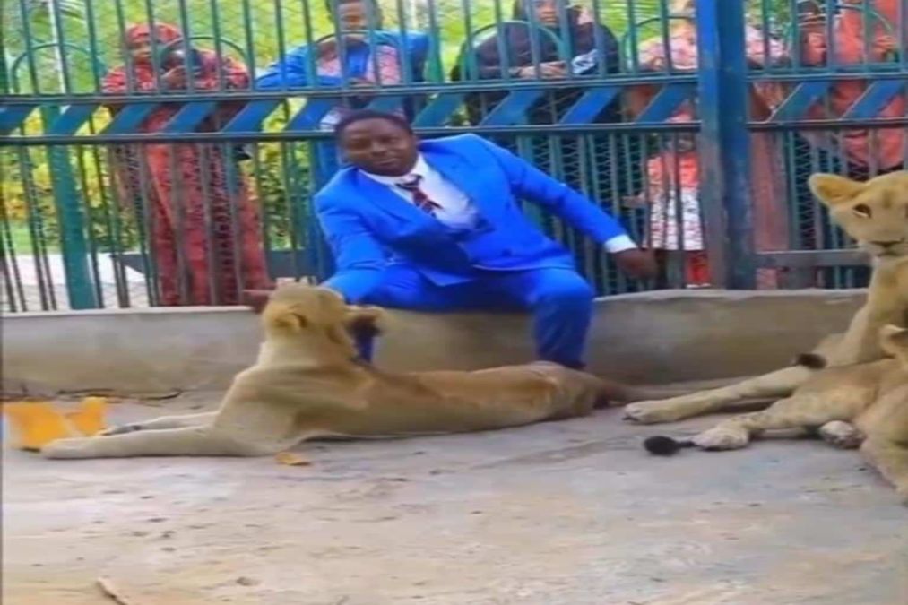 Viral Animal Video: Man Leaps into Lion's Cage to Prove Divine ...