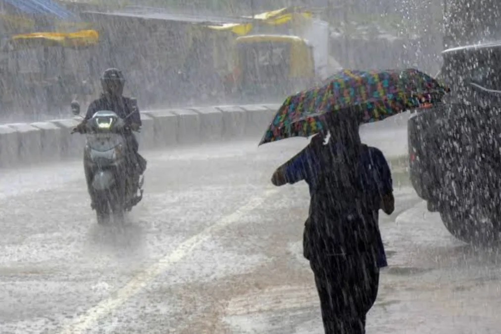 Weather Update: Rainfall in Delhi, Thunderstorm in THESE Areas, Check ...