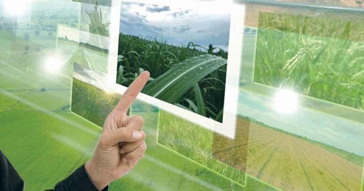 Tech advancements in agriculture creating jobs in AgriTech space