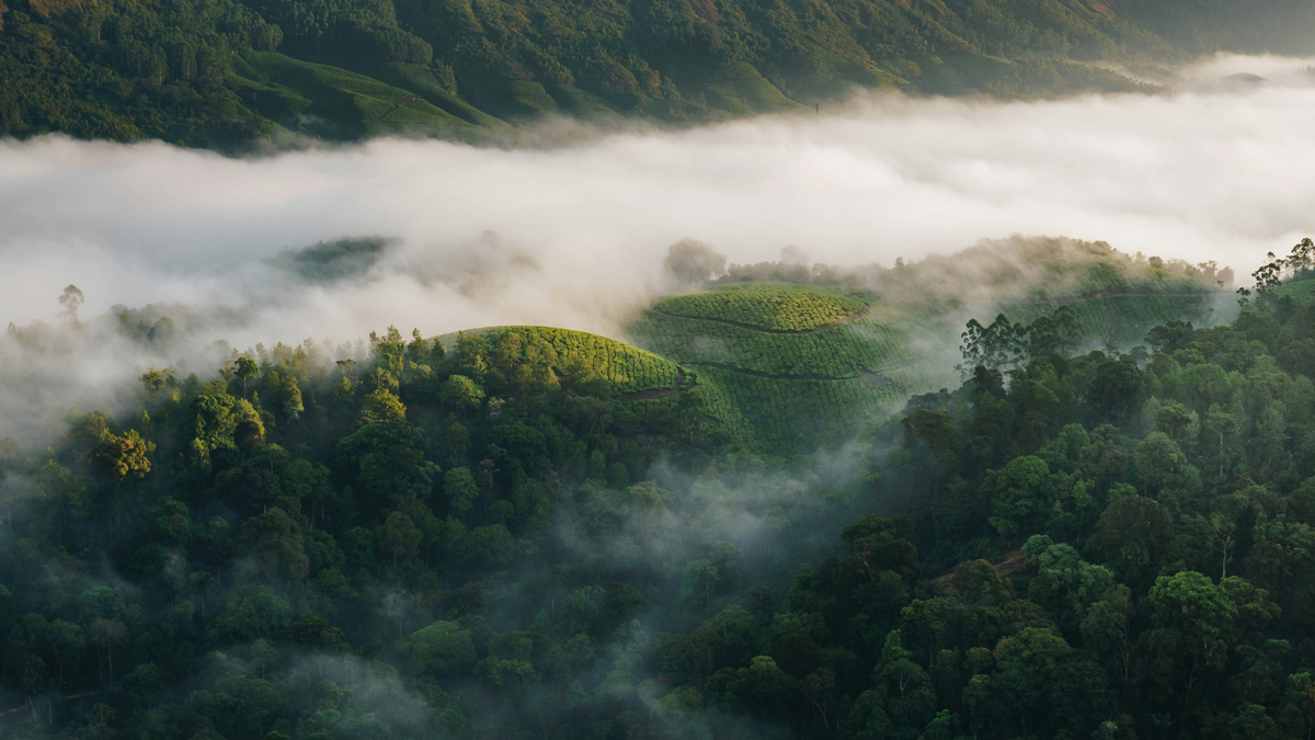 7 Best Monsoon Getaways In India – From Mussoorie To Munnar