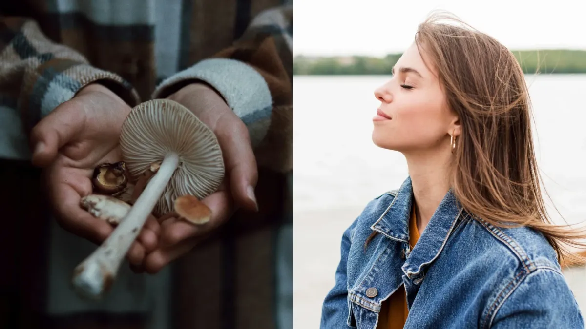 ELLE Wellness Deep Dive: Mushroom-ing