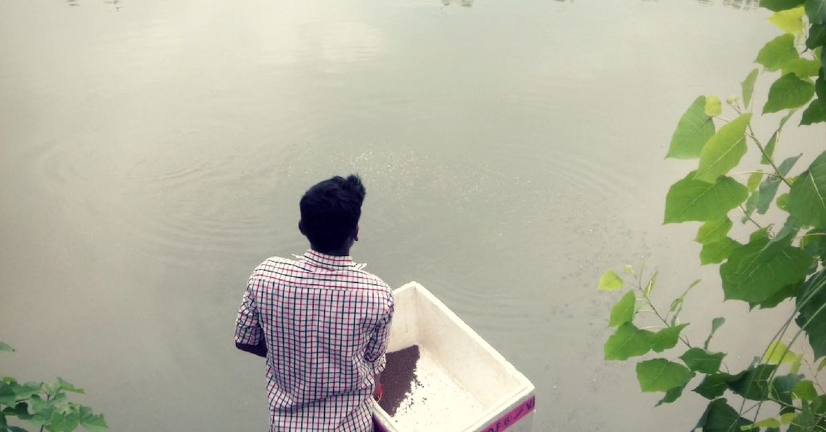 How One Bihar Village Is Transforming 'Waste' Wetlands