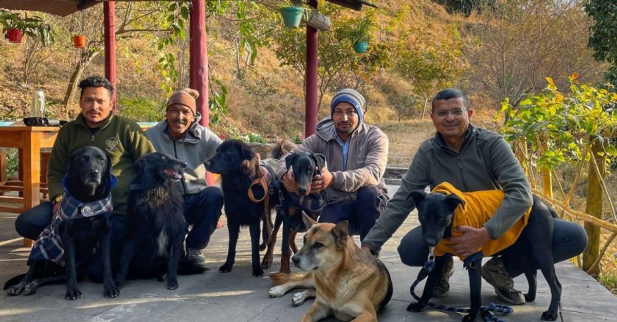 Planted 5000 Trees, Built Corbett Home: The Blueprint of My Sustainable ...