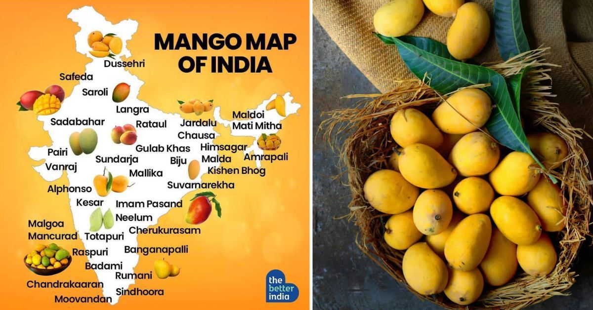 Mango Map of India: Where To Find The Sweetest Mangoes