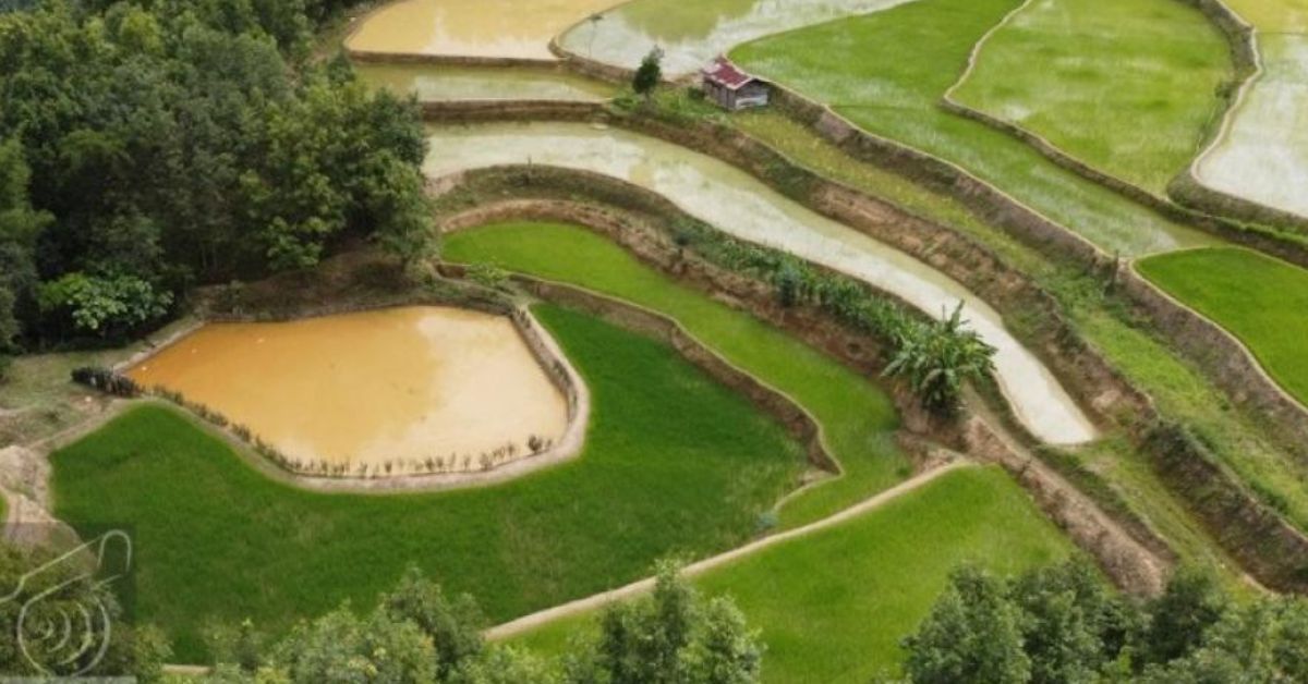 Nagaland’s Zabo Farming: A Secret Natural Solution to Monsoon Mayhem