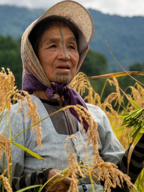 For 60+ Years, This Arunachal Tribe Has Used a Sustainable Farming Method to Grow Rice & Fish ...