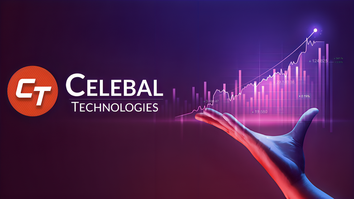 Celebal Tech nears Rs 300 Cr revenue in FY24, but bleeds heavily