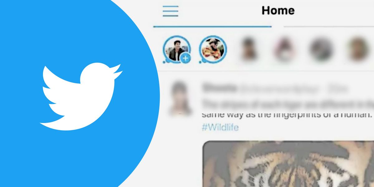 Twitter tests its short-lived content feature ‘Fleets’ in India