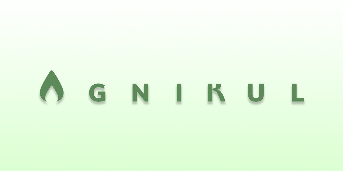 Exclusive: Spacetech startup Agnikul in talks to raise upto $12 Mn at a ...