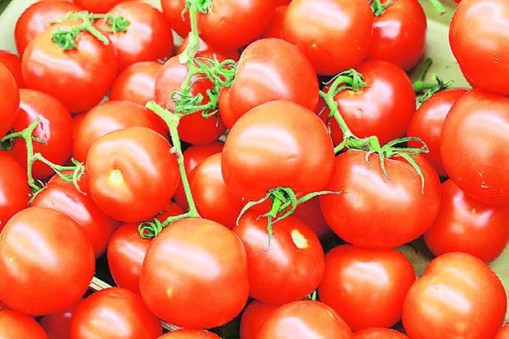 Tomato Price Rise: आसमान छूती कीमतों ने बिगाड़ा टमाटर का स्वाद, एक ...