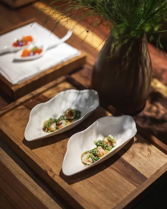 Aromas of Argentina: A sit-down, Seven-course wine dinner with ...