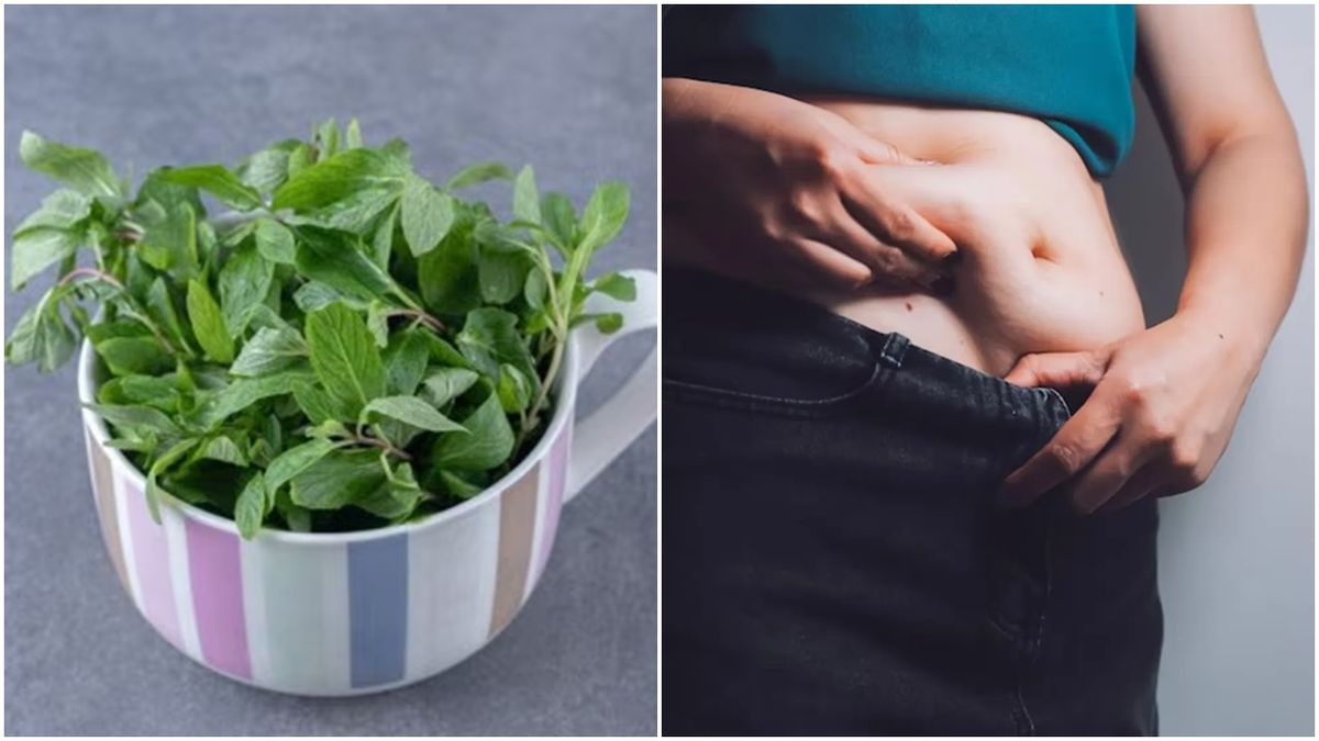 Fat Control Lifestyle: ওজন নিয়ন্ত্রণের দাওয়াই! পেটের চর্বি কমাতে ...