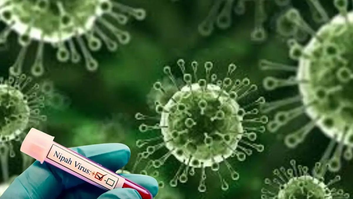Nipah Virus: নিপা ভাইরাস নিয়ে হাই অ্যালার্ট ত্রিপুরায়! আতঙ্ক নয় ...