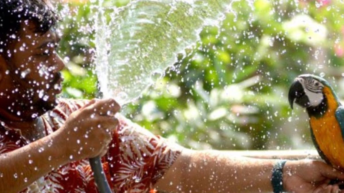 Heatwave Disaster Management Act: ব্যাপক গরম! তারপরও ক্ষয়ক্ষতিতে মেলে না বিপর্যয় মোকাবিলার ...