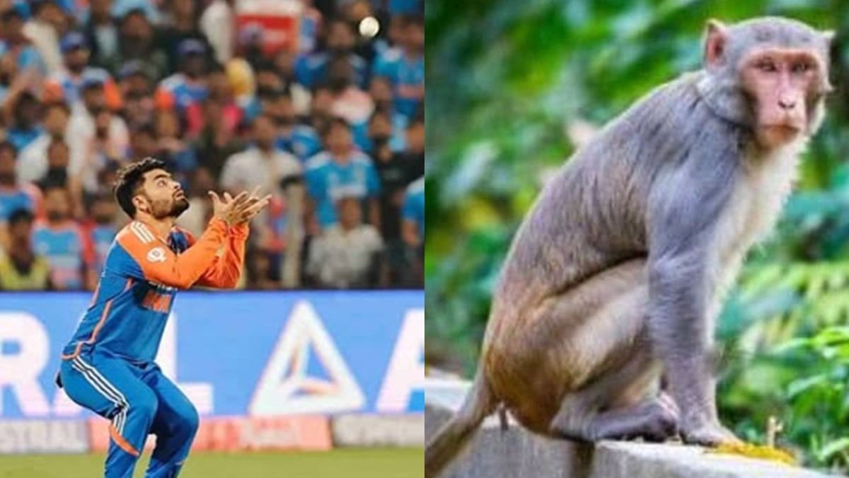 കുരങ്ങൻ കടിച്ചു കീറി; എന്റെ എല്ലുകൾ കാണാമായിരുന്നു; രക്തം വാർന്നൊലിച്ചു ...