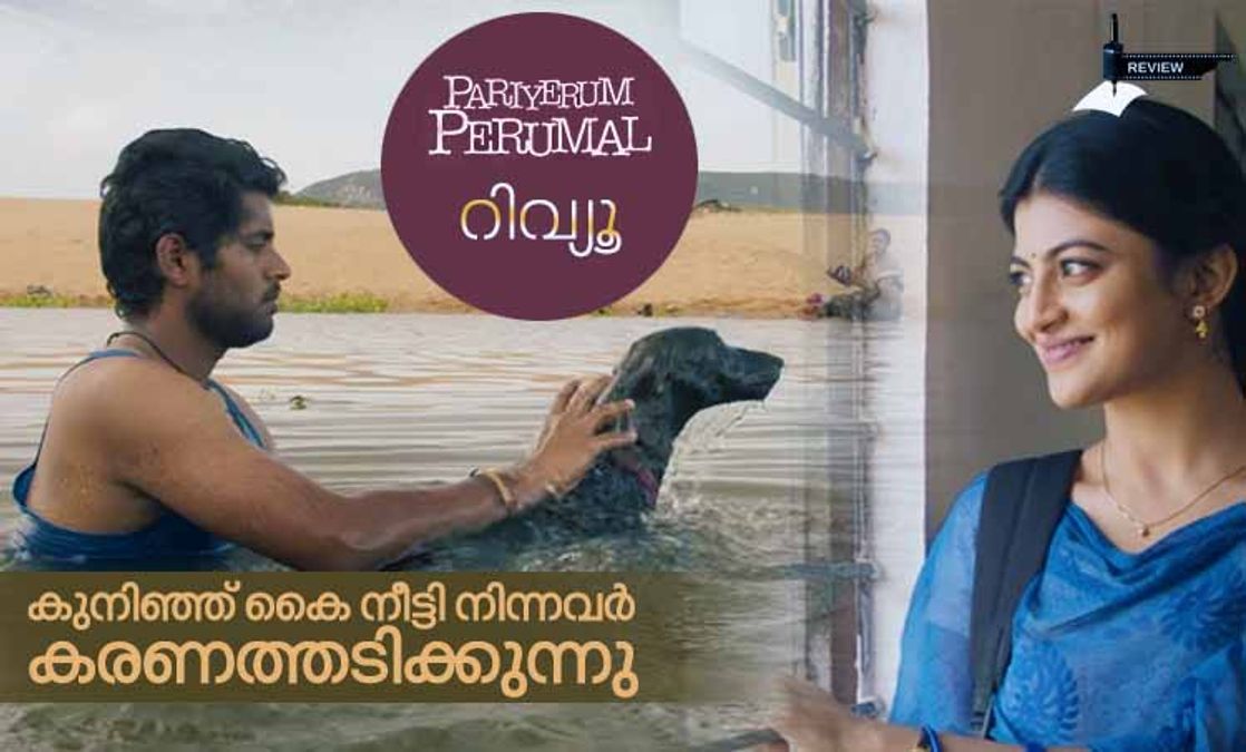 Pariyerum Perumal movie Review: തമിഴകത്ത് നീലക്കൊടി പാറിച്ച് 'പരിയേരും ...