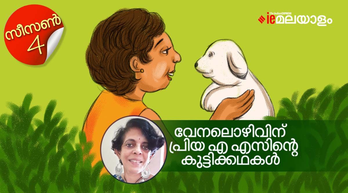 പേളിയുടെ കളികള്‍, കാസിമിന്റെയും