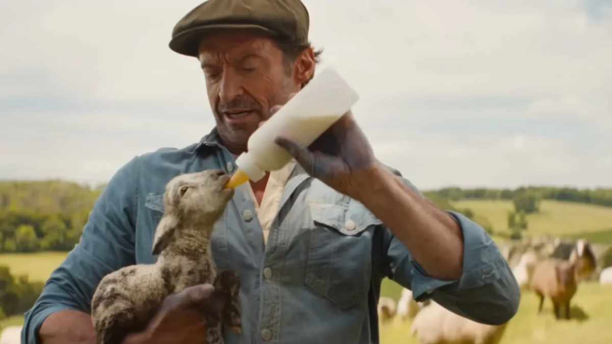 Hugh Jackman Stars in Sheep-Led Mystery 'The Sheep Detectives' Trailer