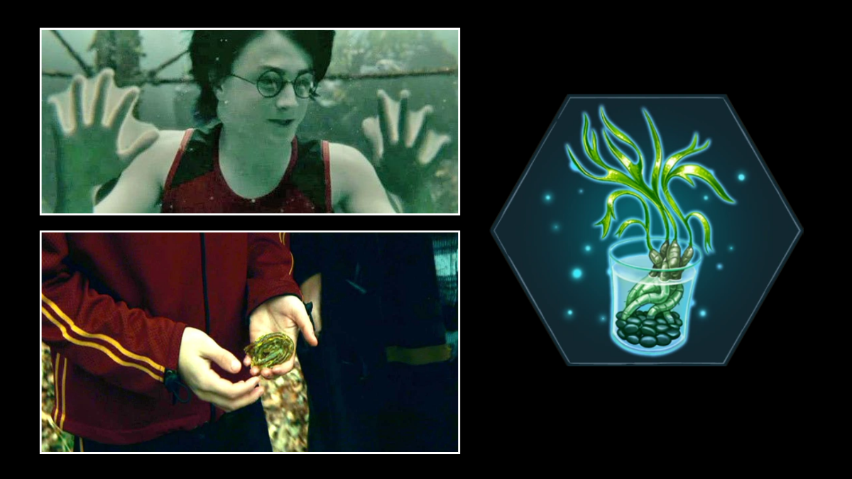 Harry Potter: The Preparation and Use of Gillyweed in Potions