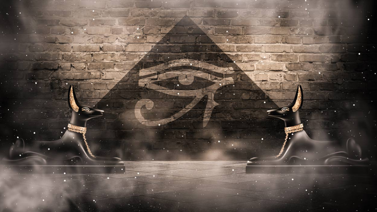 Sacred Jackals: The Real Animals Behind the Myth of Anubis