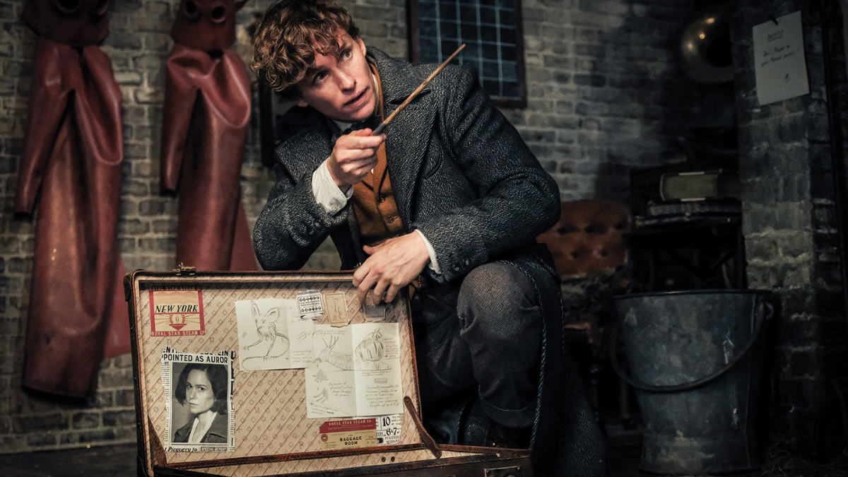 Newt Scamander: A Different Kind of Hero in the Wizarding World of ...