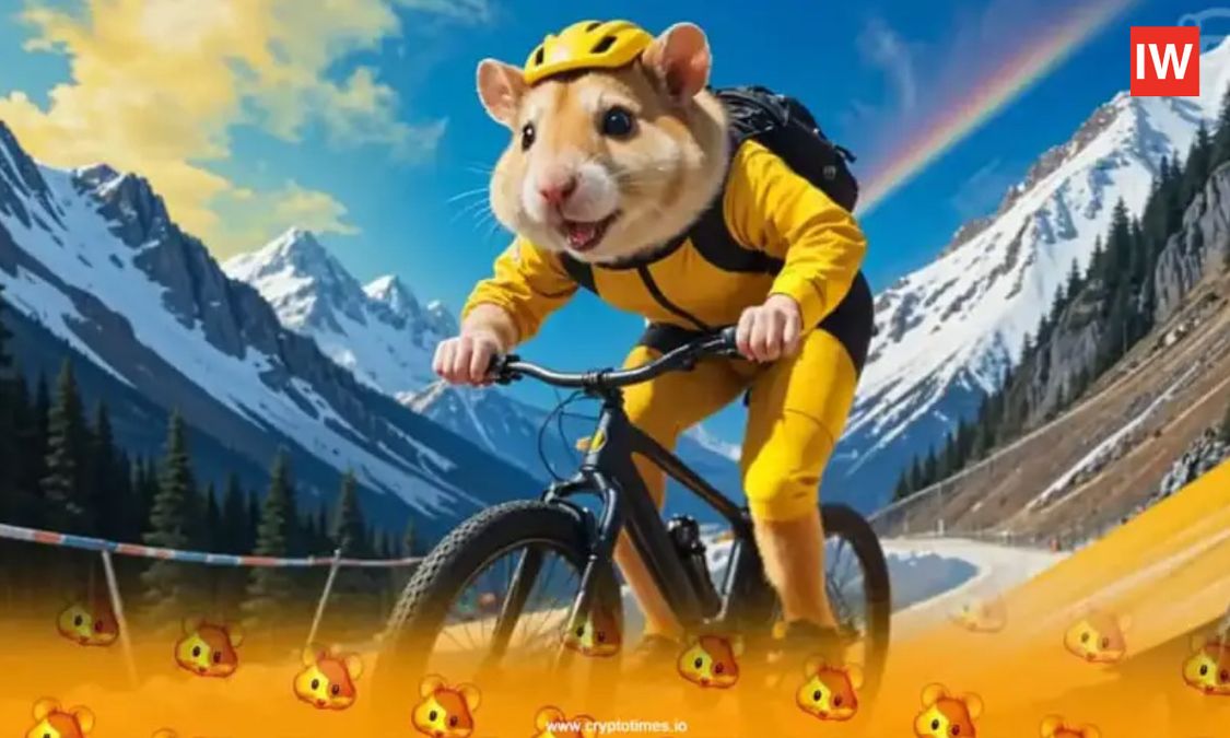 Today’s Hamster Kombat GameDev Daily Cipher Codes for May 29, 2025