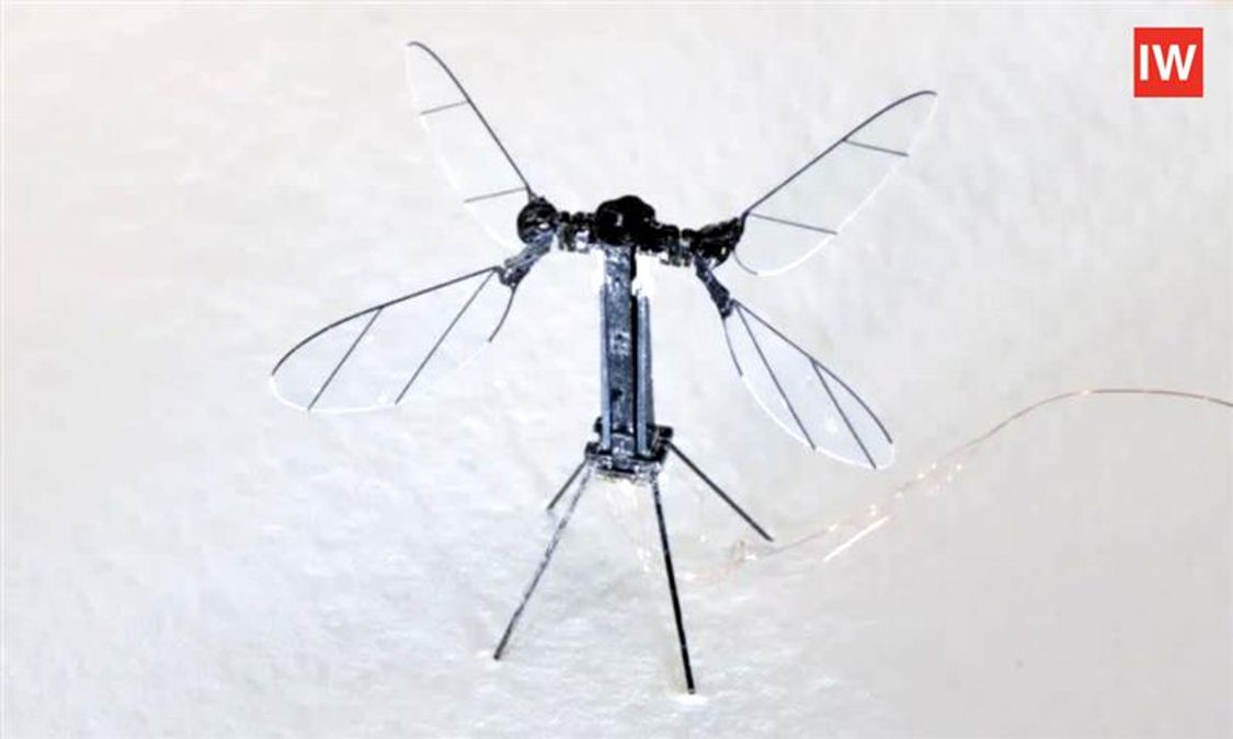 Invisible and Lethal: China’s Mosquito Drone Could Change War Forever