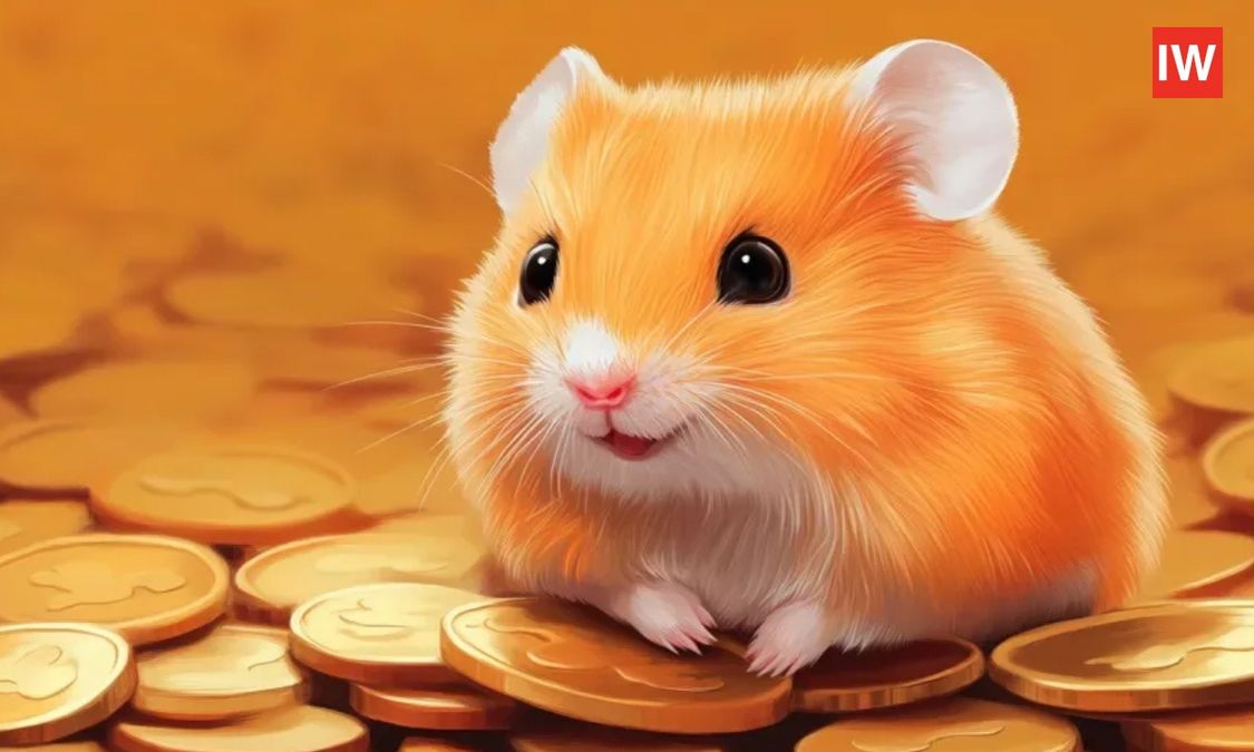 Today’s Hamster Kombat GameDev Daily Cipher Codes for July 5, 2025