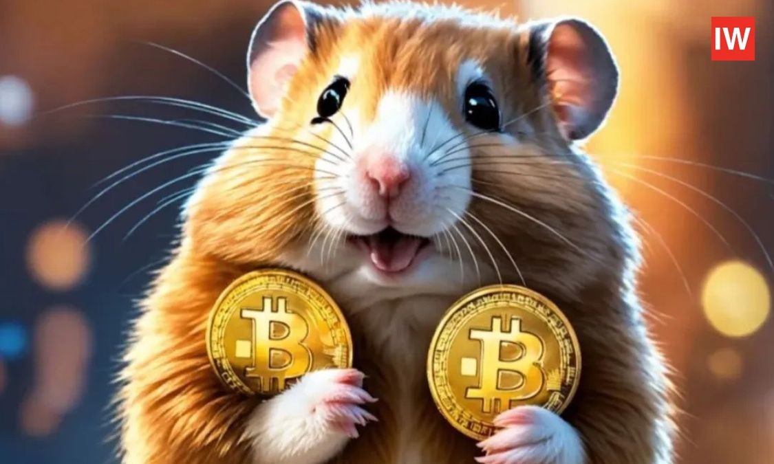 Today’s Hamster Kombat GameDev Daily Cipher Codes for July 9, 2025