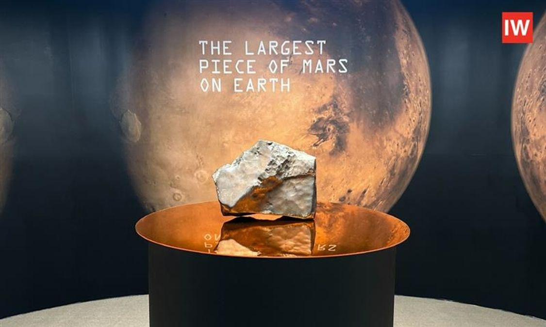 Mars Meteorite Sells For US$4.3M: Largest Martian Rock Ever Found On Earth